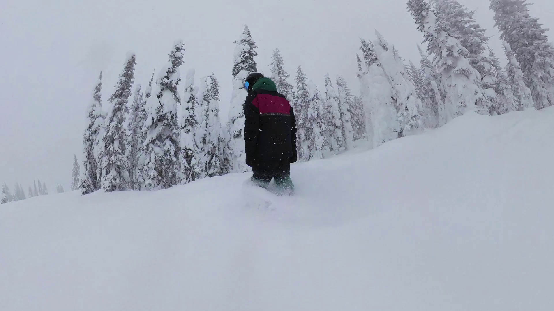 Bataleon Party Wave Snowboard Review - Snowboard Robot