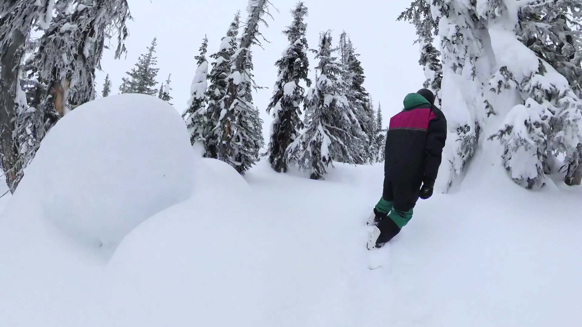 Nitro Fintwin Snowboard Review - Snowboard Robot